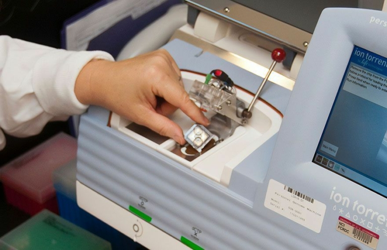 テラヘルツ鉱石の基礎知識〜意味・特徴・効果